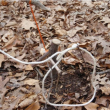 6 Survival Hunting Traps And How To Build Them - Die Hard Survivor