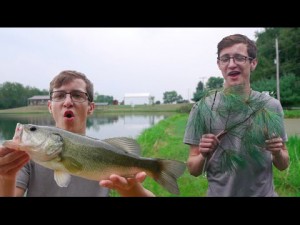 Catch Fish With Pine Needle Lures - Die Hard Survivor