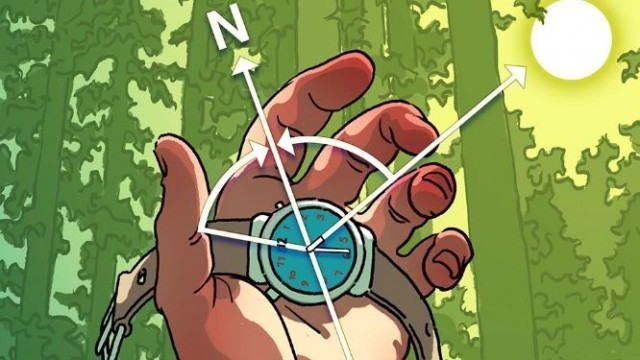 A Quick Way to Find South (or North) with Watch Hands - Die Hard Survivor