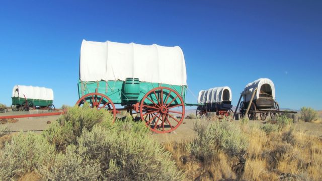What Food Pioneers Carried on the Oregon Trail and How They Prepared It ...